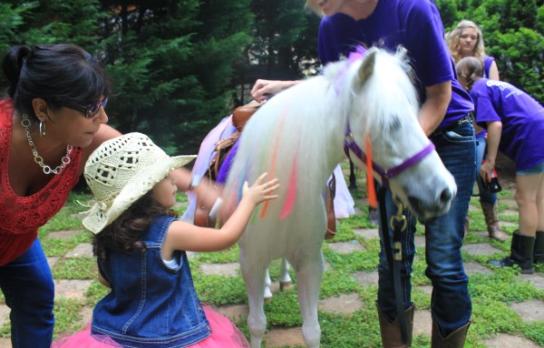 Pony Pals Pony Parties Home